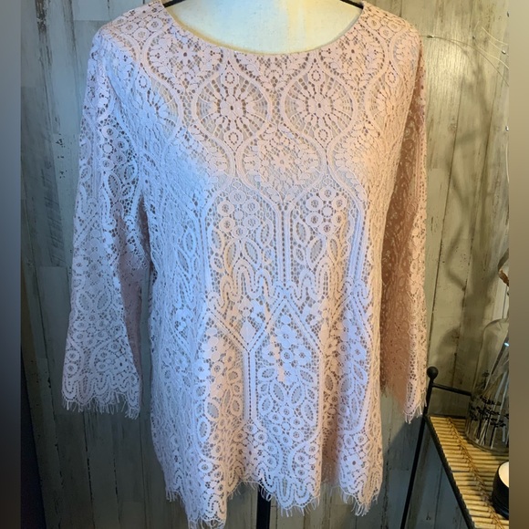 LOFT | Tops | Loft Lace Petite Blouse Size Xlp | Poshmark